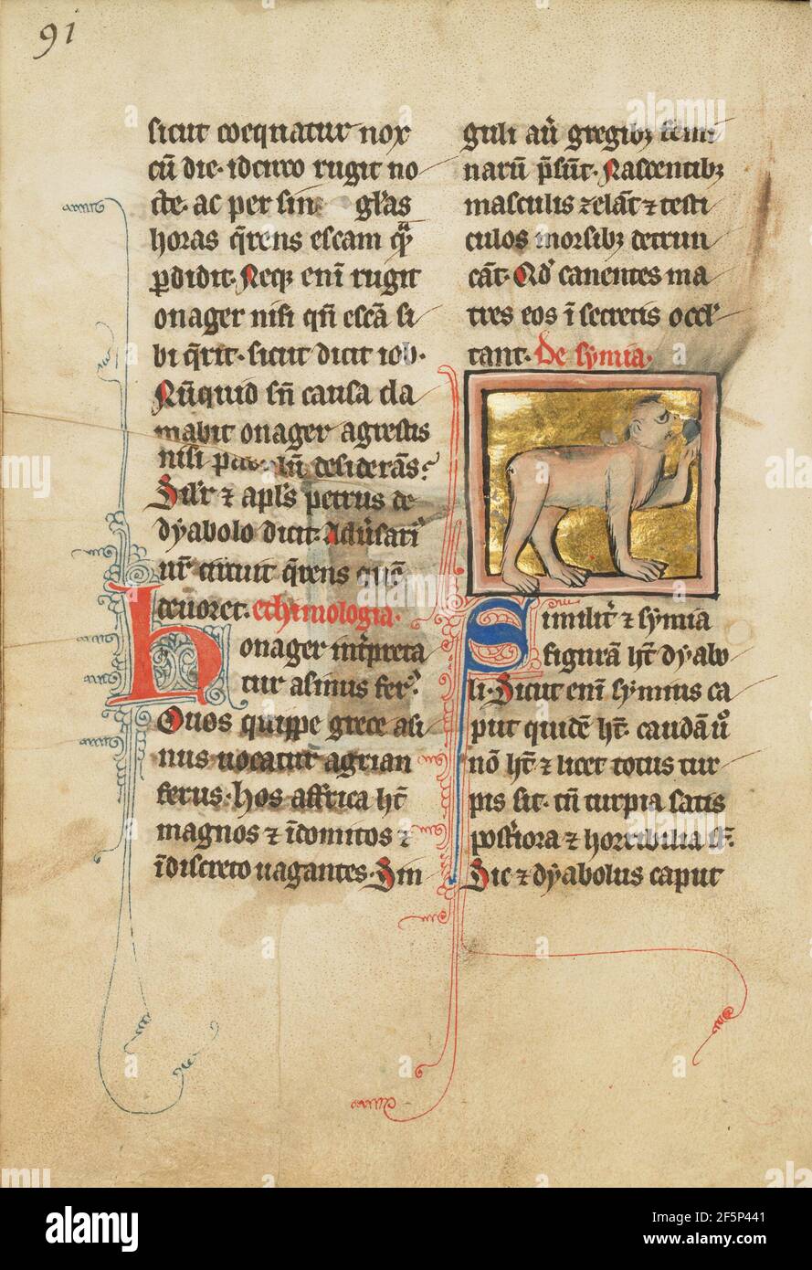 A Monkey. Unknown Stock Photo - Alamy