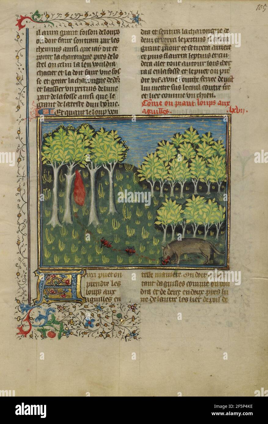 Wolf bait hi-res stock photography and images - Alamy