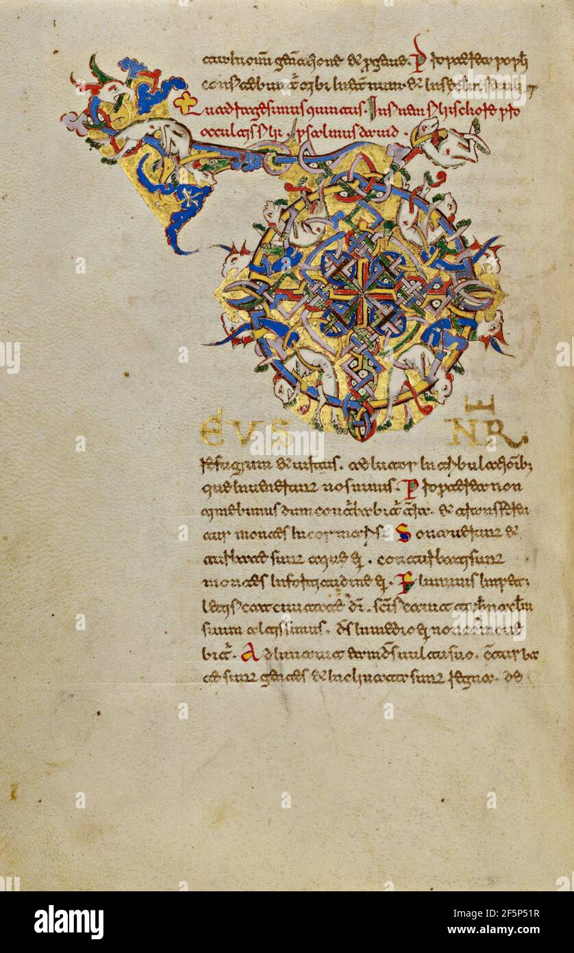 Inhabited Initial D. Unknown Stock Photo - Alamy