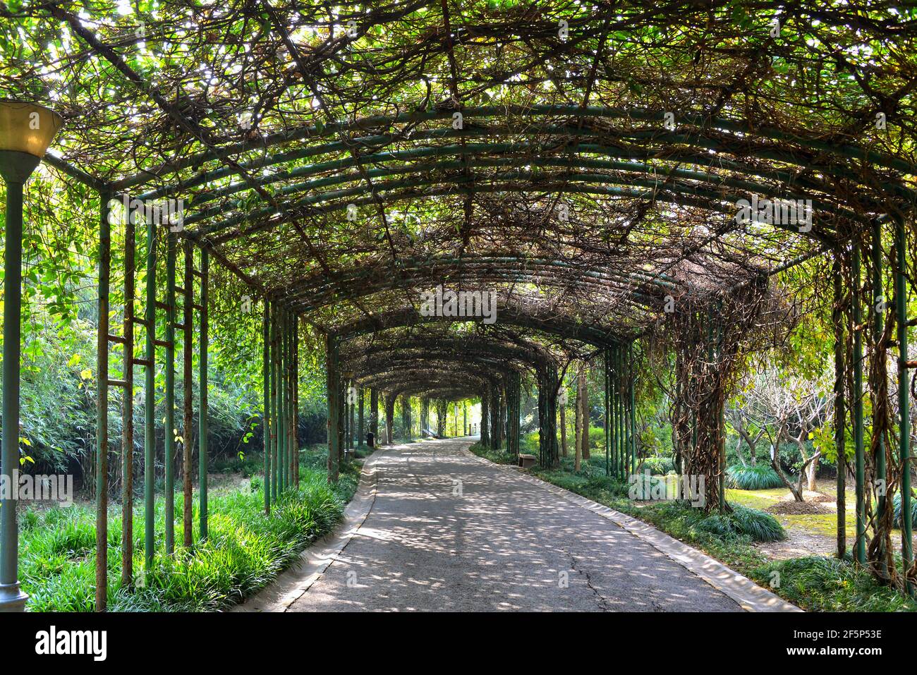 Interesting looking curved covered pathway Stock Photo - Alamy