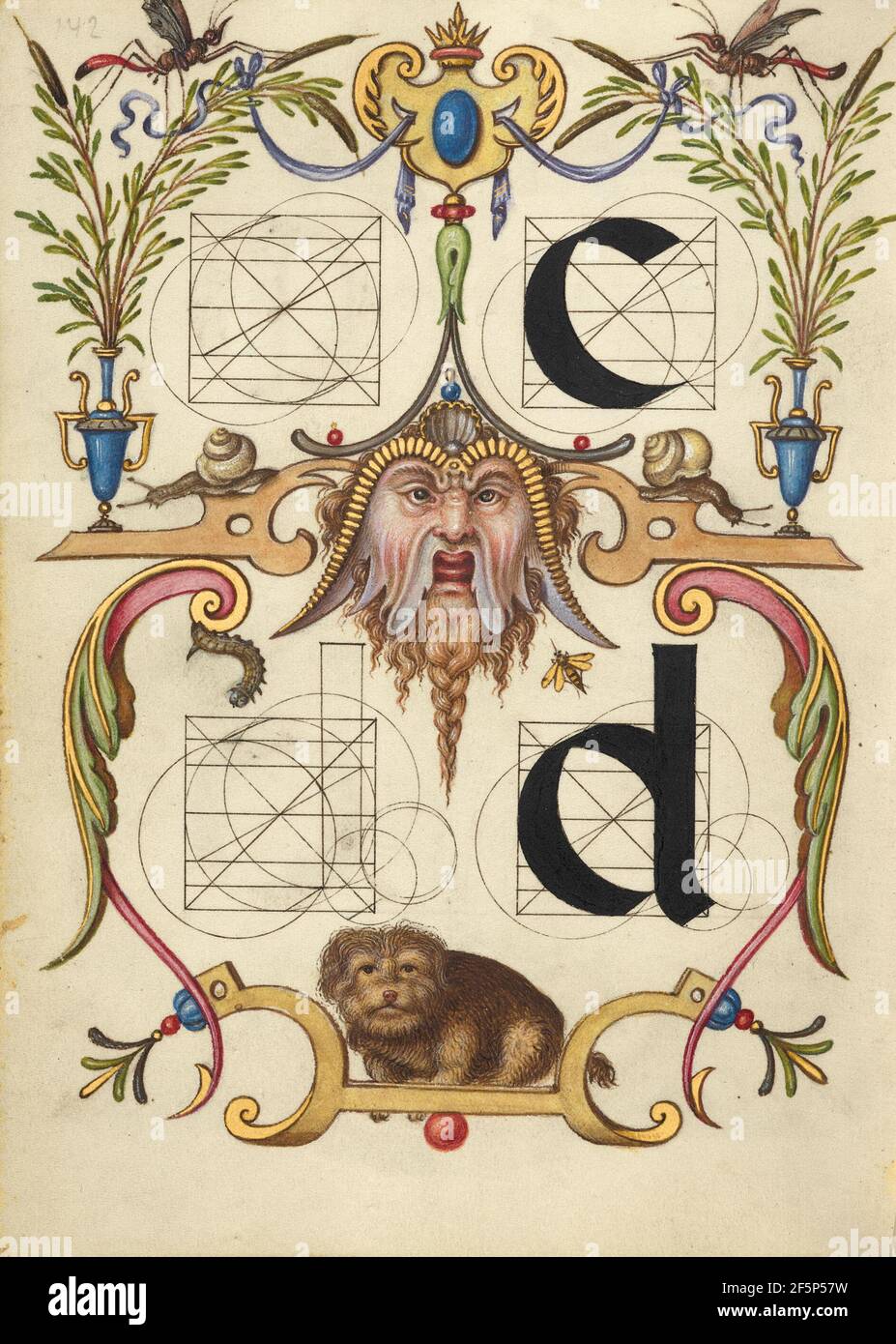 Guide for Constructing the Letters c and d. Joris Hoefnagel (Flemish ...