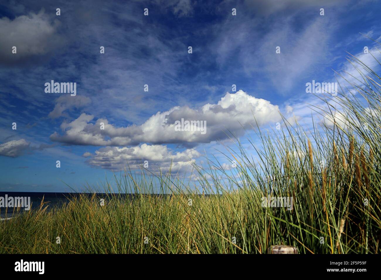 Summer at german baltic sea Stock Photo - Alamy