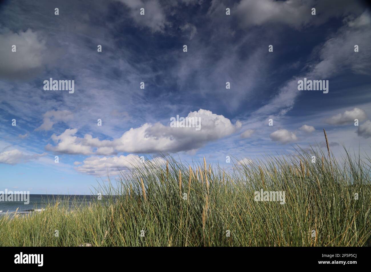Summer at german baltic sea Stock Photo - Alamy