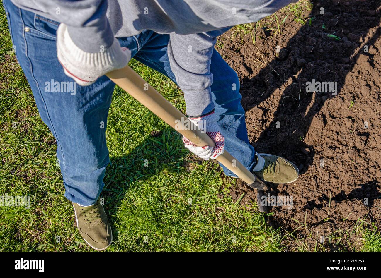 Man digging garden hoe hi-res stock photography and images - Alamy