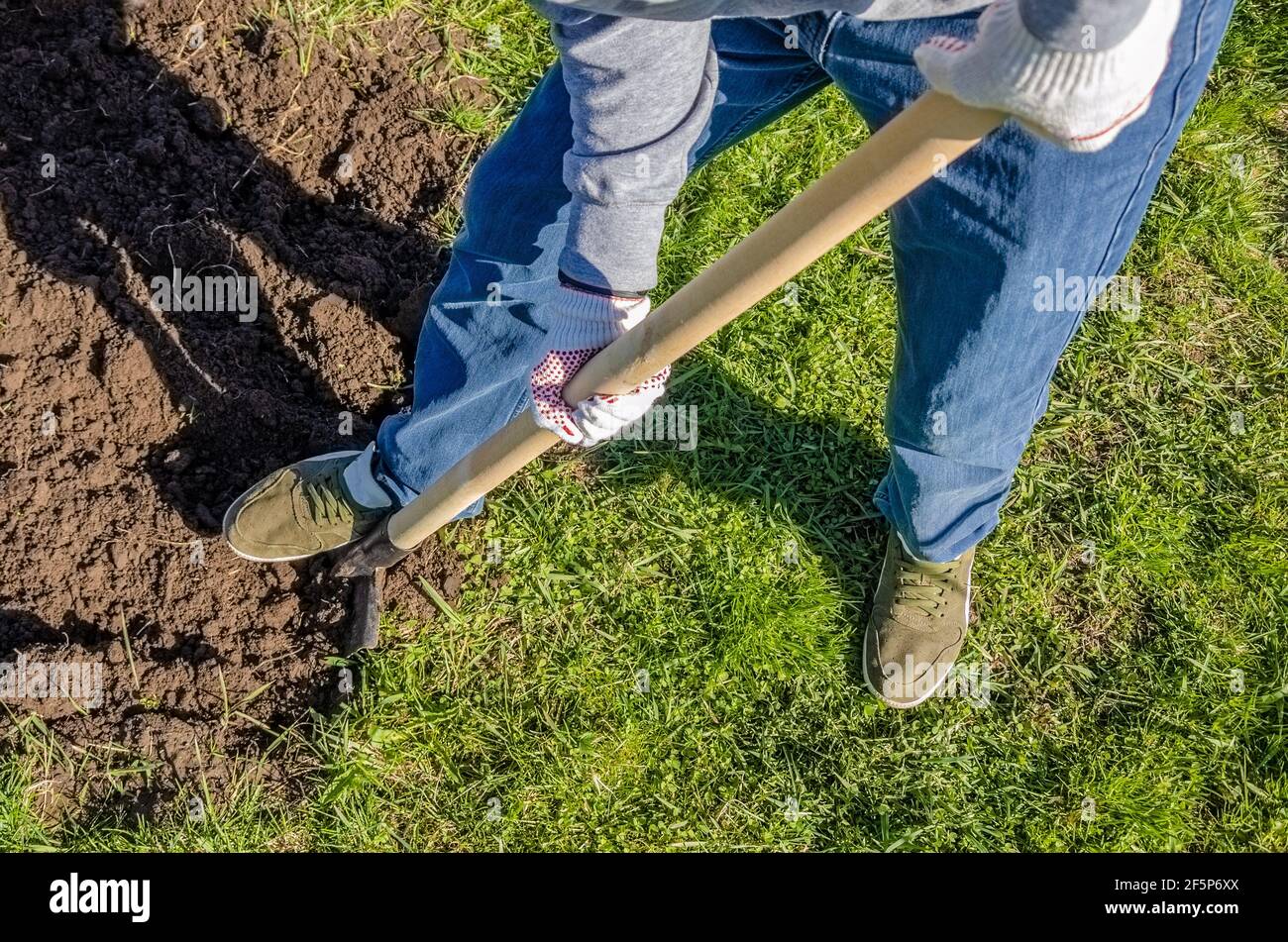 Person digging garden spade hi-res stock photography and images - Alamy