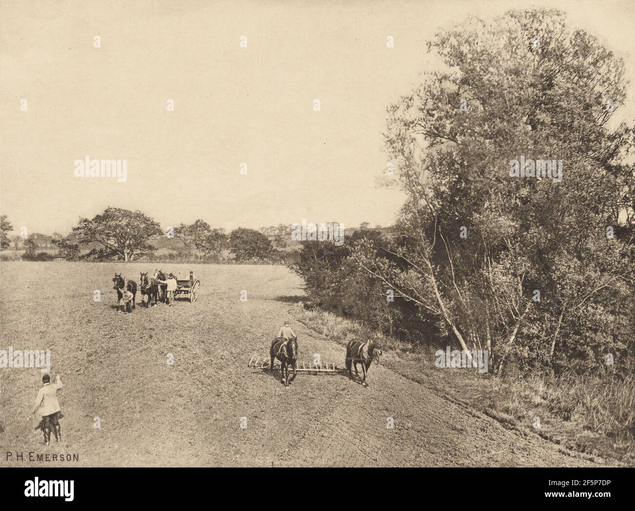 In the Barley-Sele. Peter Henry Emerson (British, born Cuba, 1856 ...