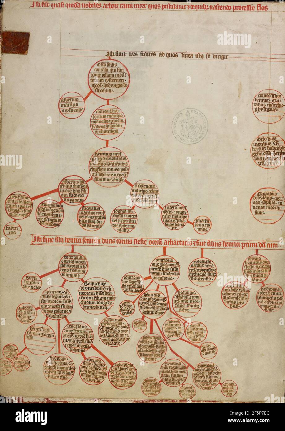 Genealogy chart hi-res stock photography and images - Alamy