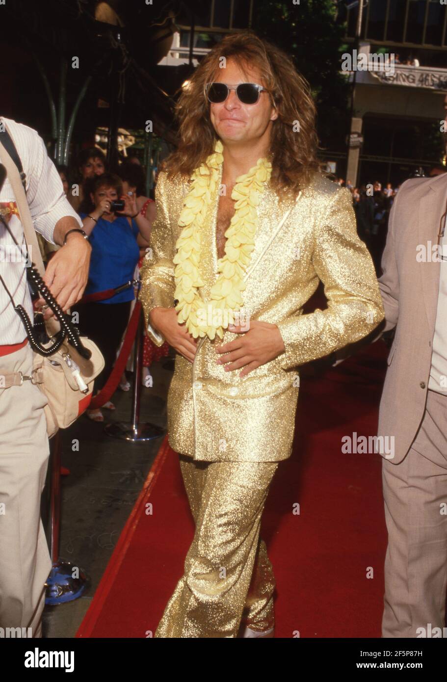 David Lee Roth 1985 Credit: Ralph Dominguez/MediaPunch Stock Photo - Alamy