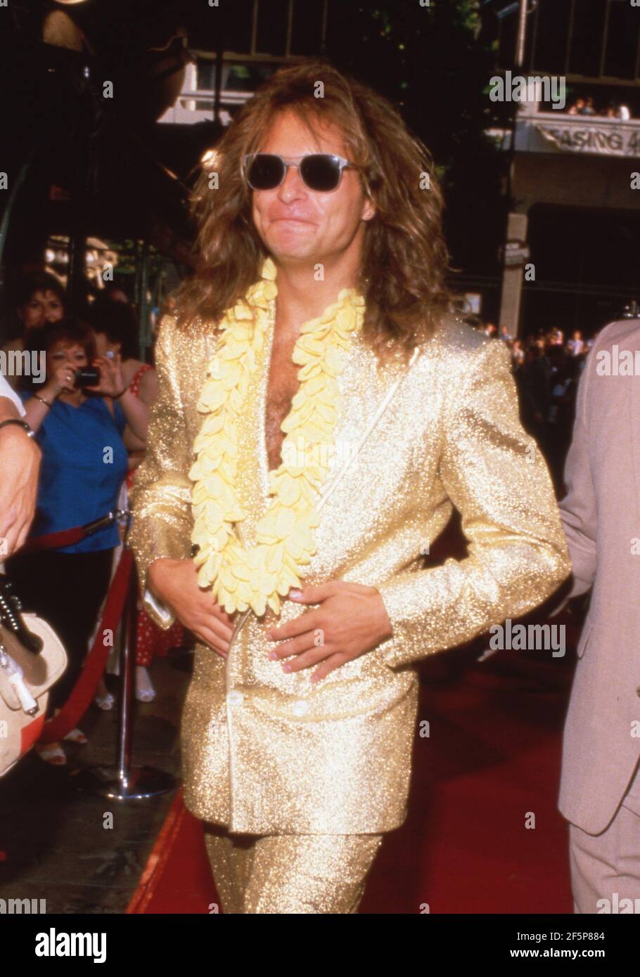 David Lee Roth 1985 Credit: Ralph Dominguez/MediaPunch Stock Photo - Alamy