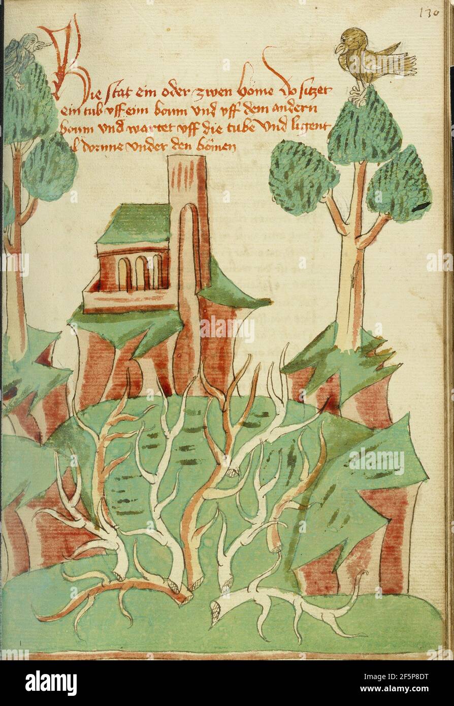 Thorn bushes hi-res stock photography and images - Alamy