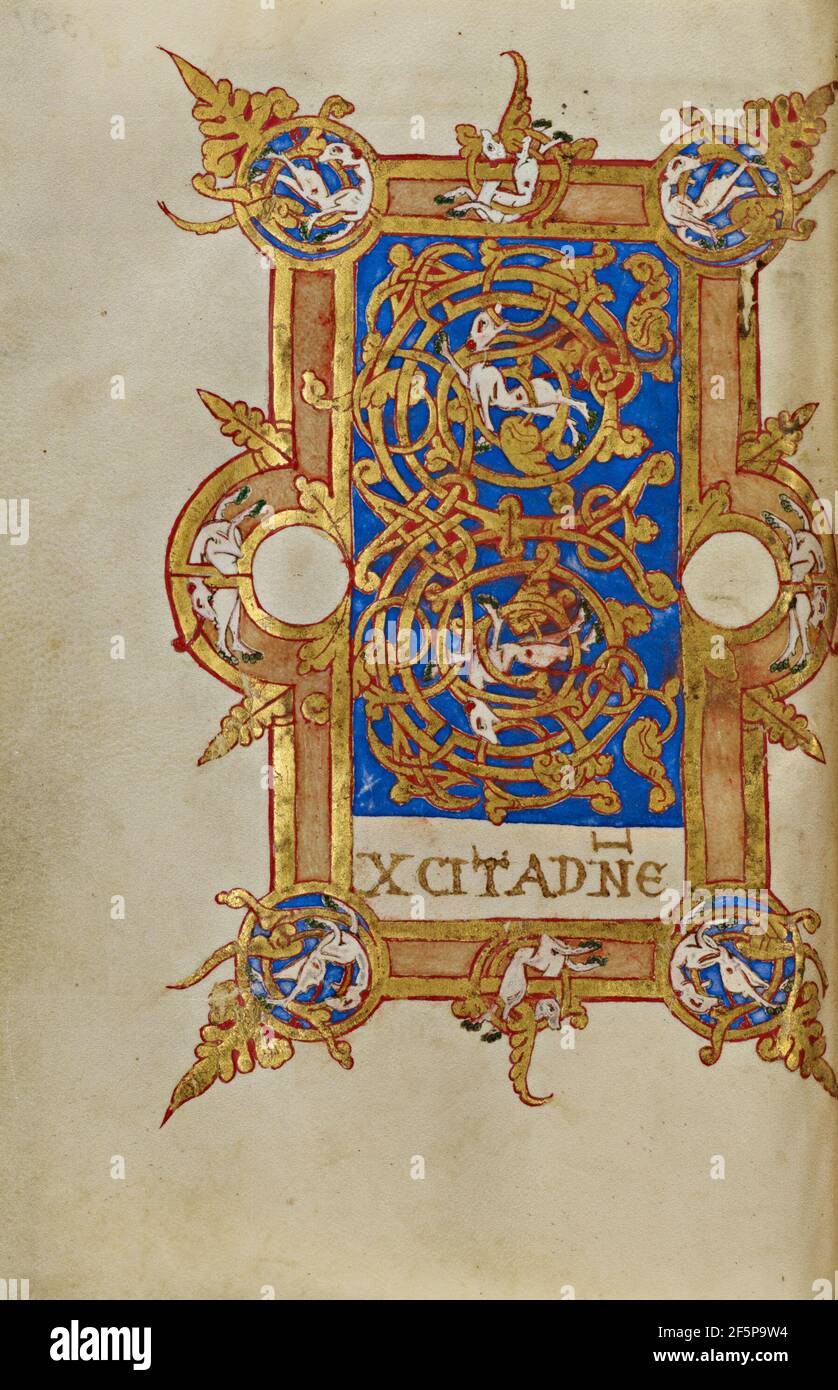 Illuminated letters artwork medieval hi-res stock photography and ...