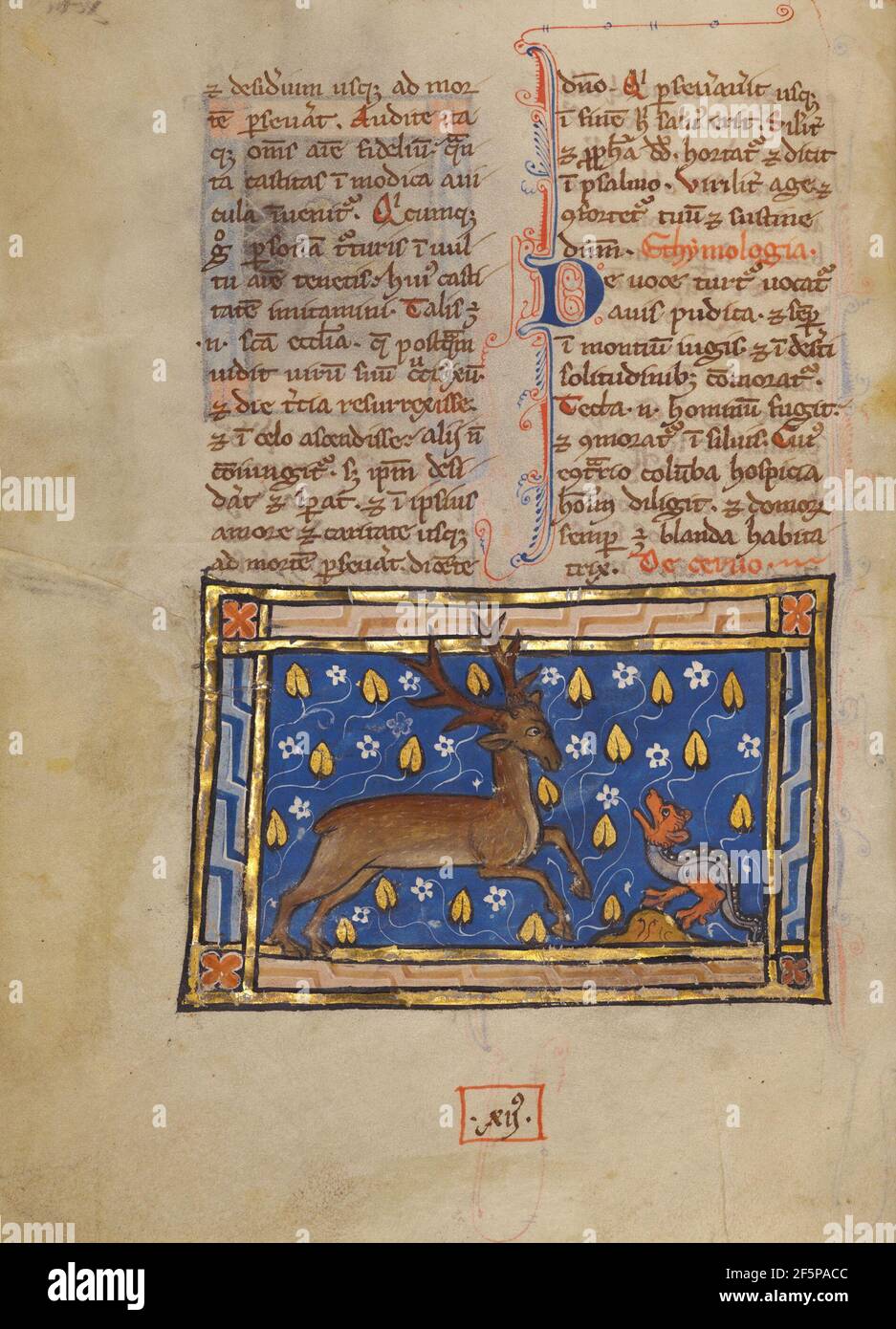 A Stag before a Dragon-like Snake. Unknown Stock Photo - Alamy