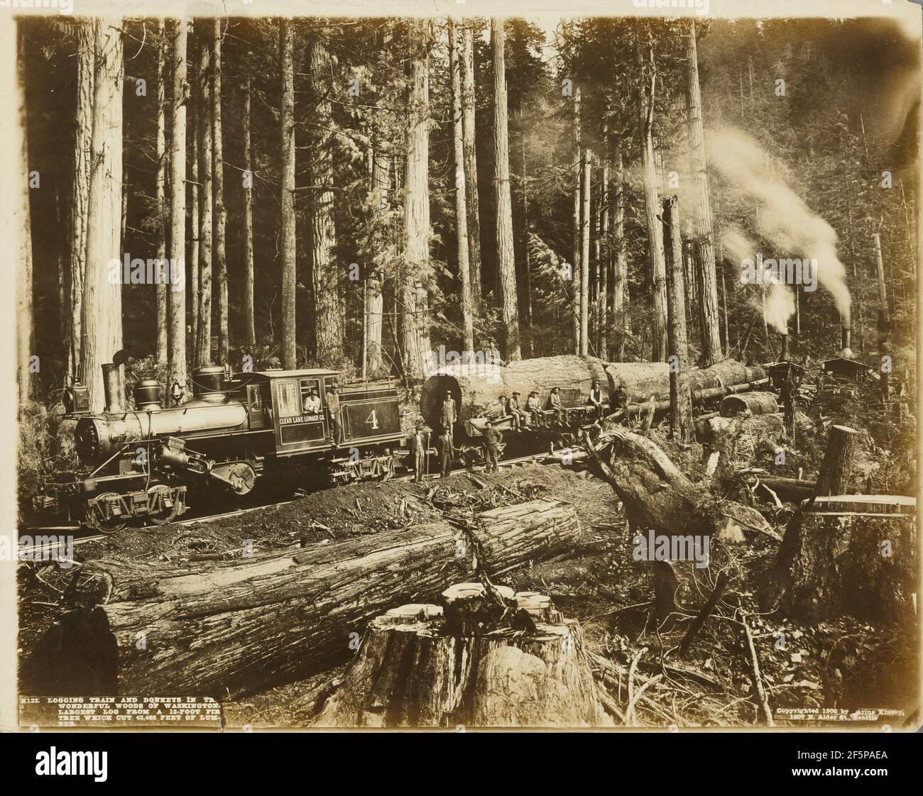 Logging Train and Donkeys in the Wonderful Woods of Washington. Darius ...