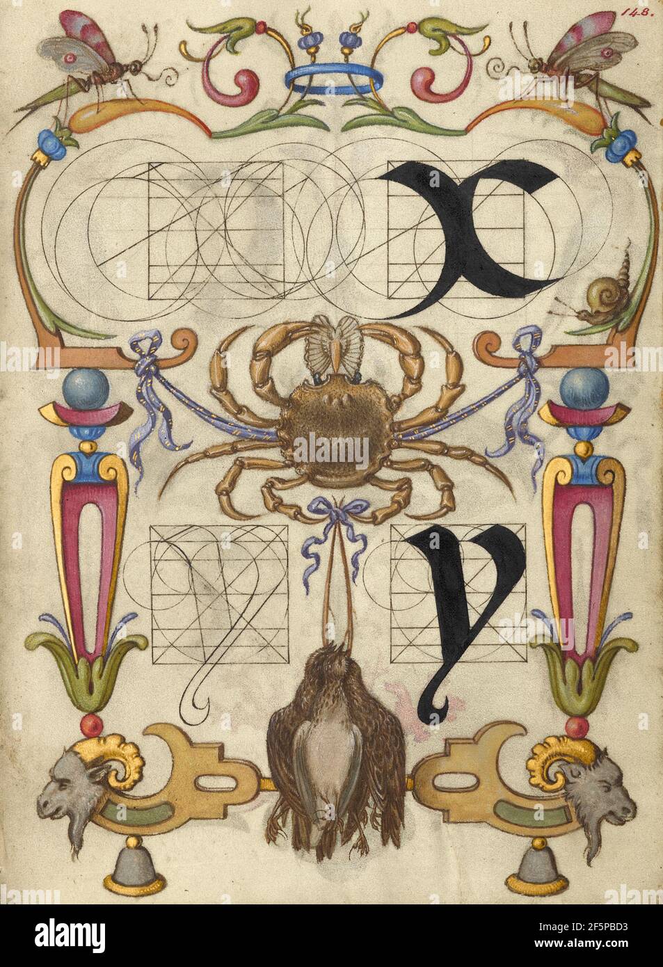 Guide for Constructing the Letters x and y. Joris Hoefnagel (Flemish ...