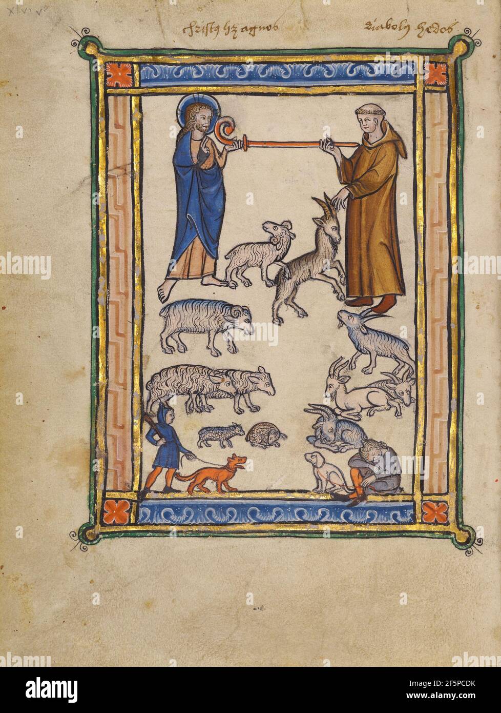 Educational bestiary hi-res stock photography and images - Alamy