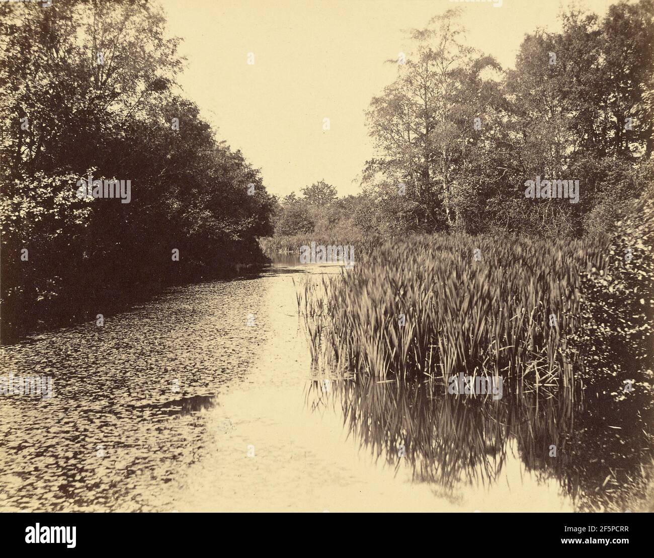 Henry white 1819 hi-res stock photography and images - Alamy