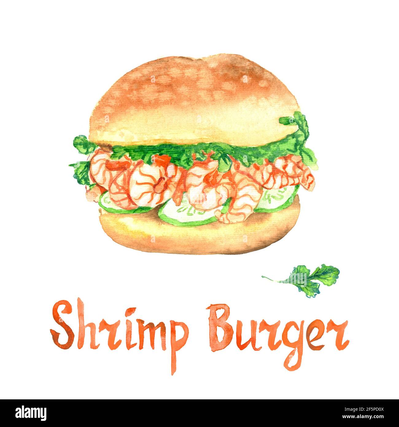 Shrimp Burger isolated on white hand painted watercolor illustration ...