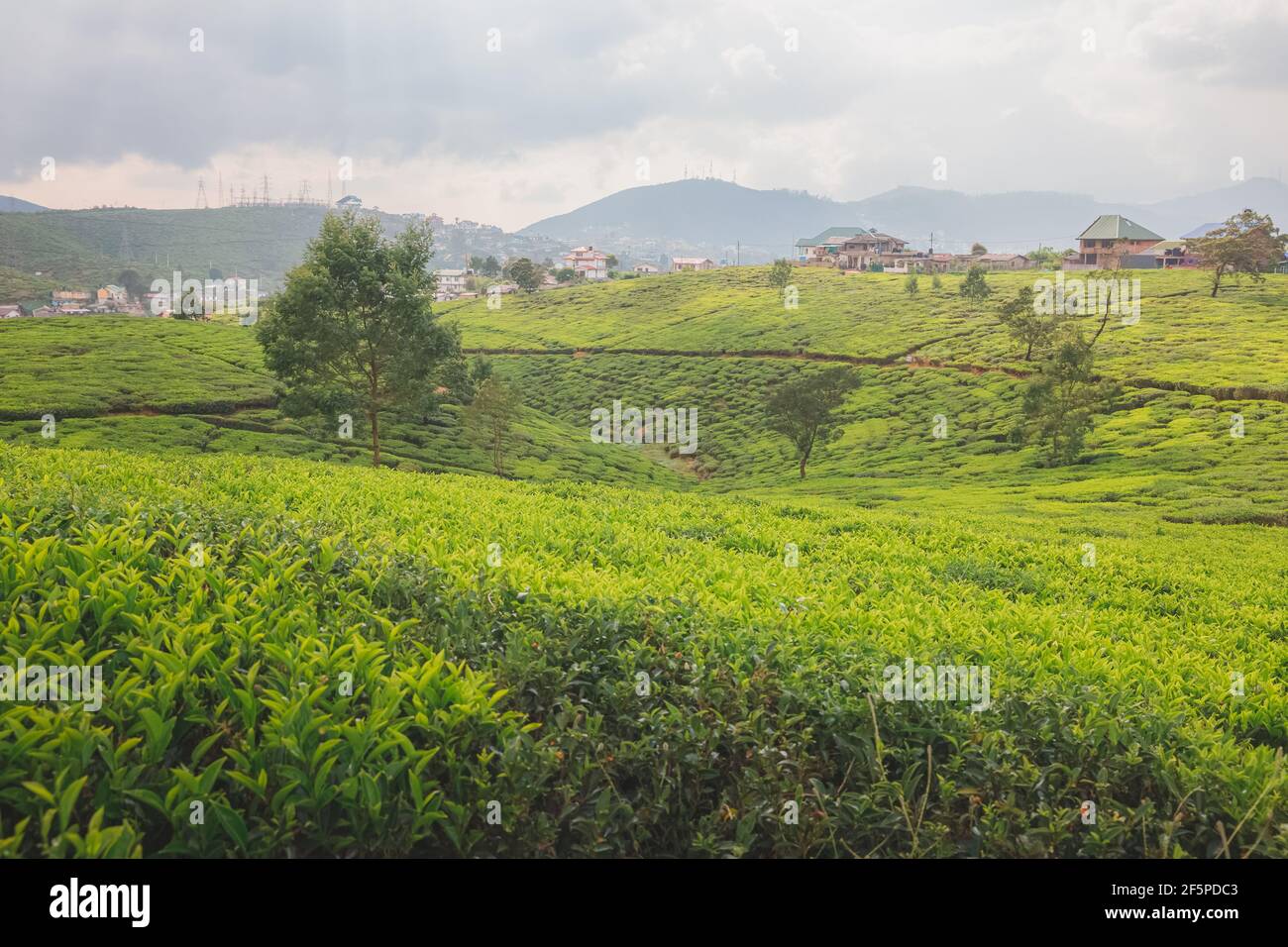 Landscape countryside view of Sri Lankan hill country, tea plantations ...