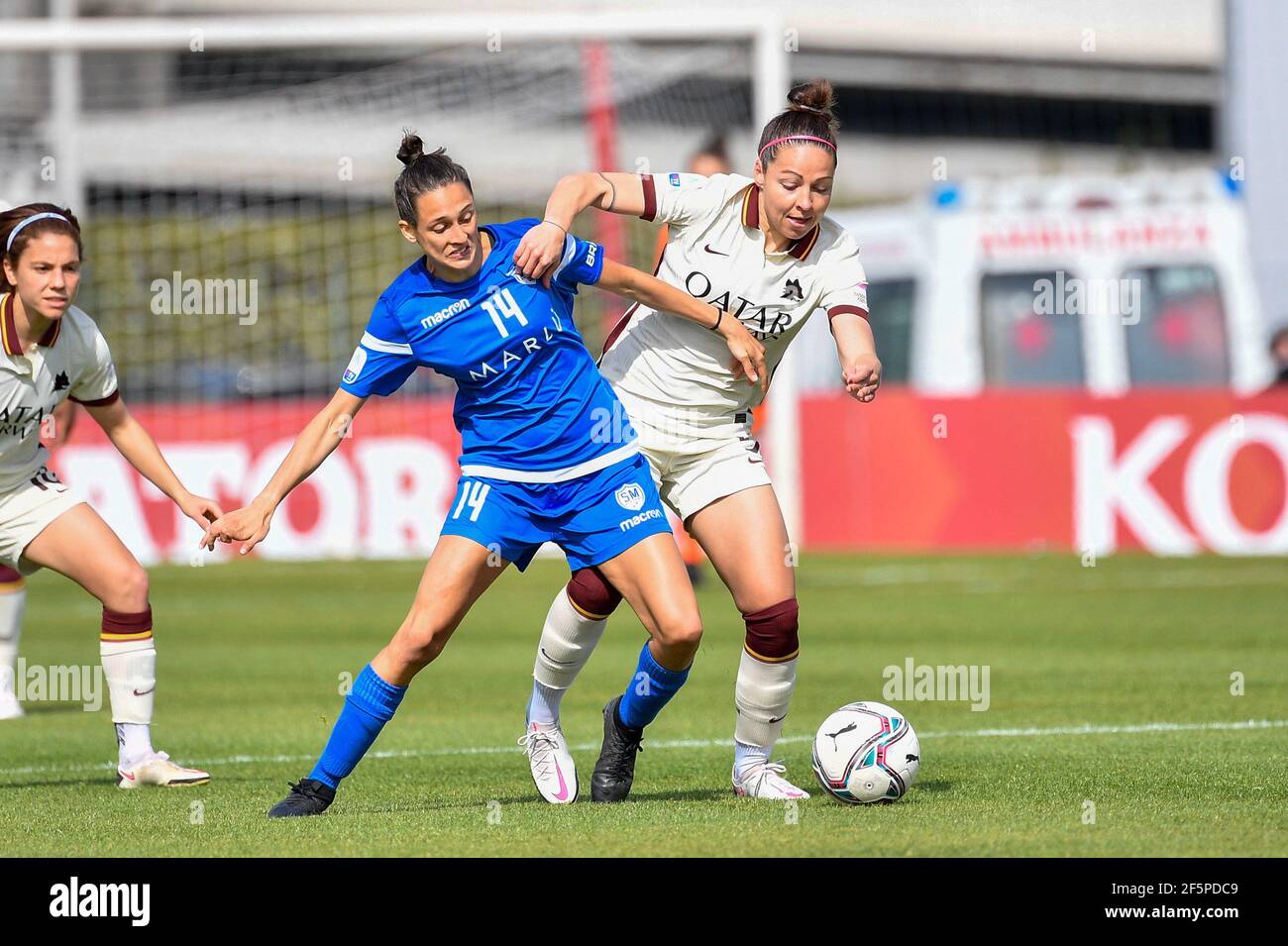 Vanessa viola hi-res stock photography and images - Alamy