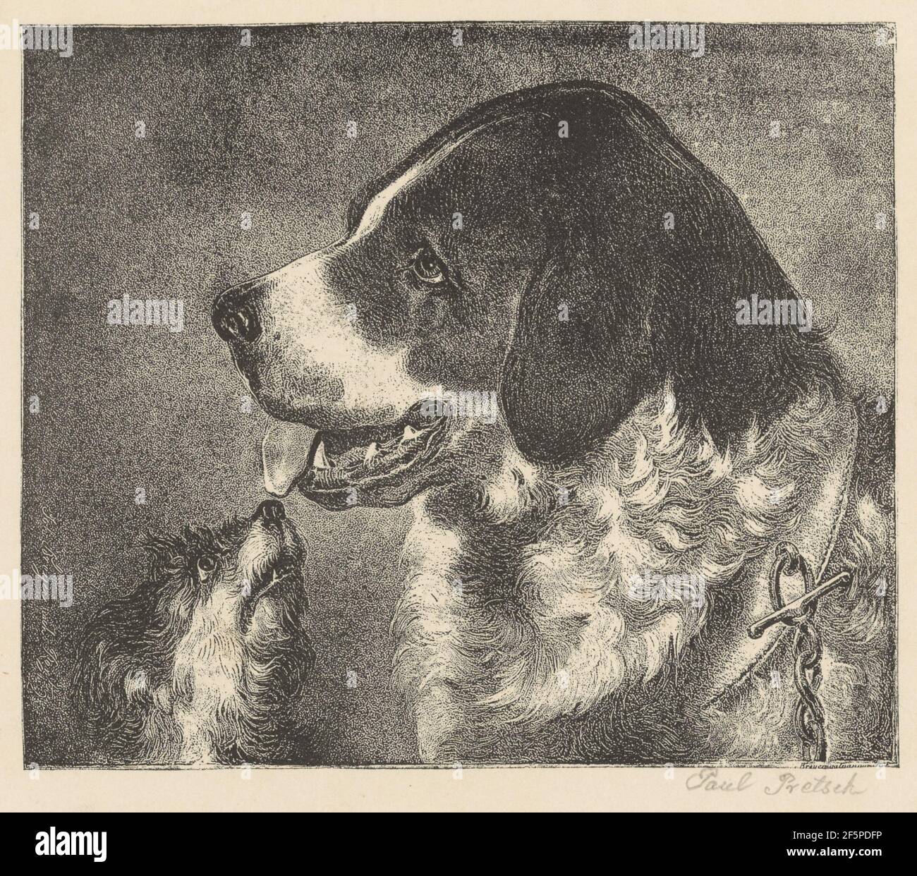 Two dogs. Paul Pretsch (Austrian, 1808 - 1873 Stock Photo - Alamy