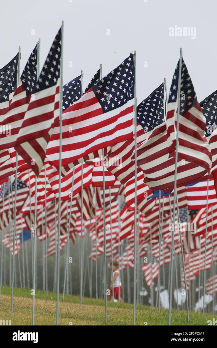 Forest of US Flags Stock Photo - Alamy