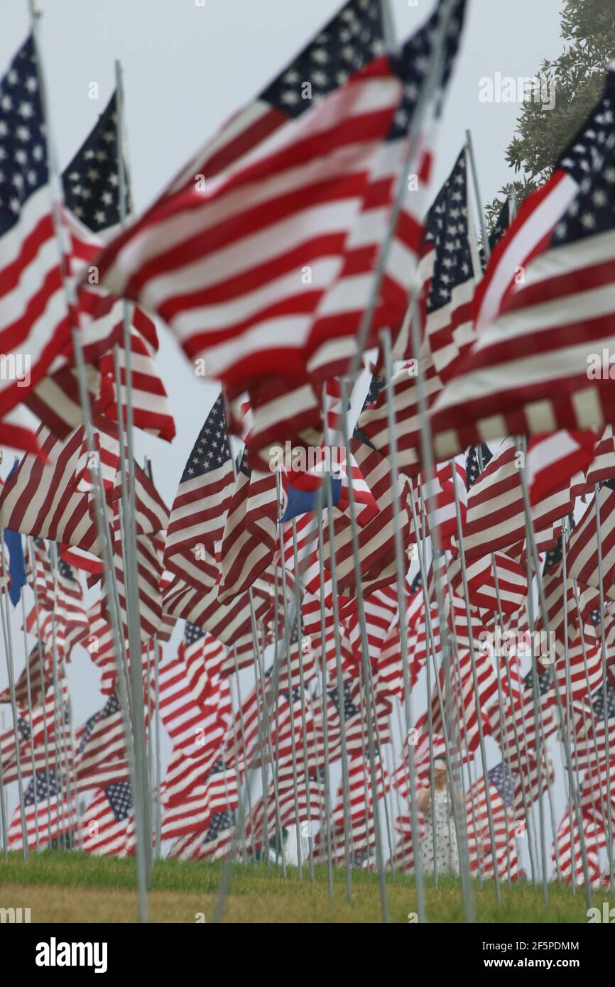 Forest of US Flags Stock Photo - Alamy