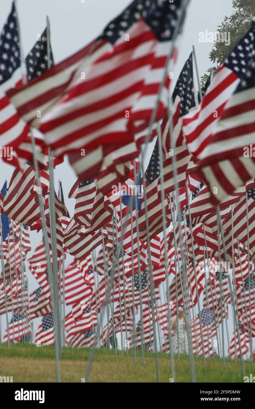 Forest of US Flags Stock Photo - Alamy
