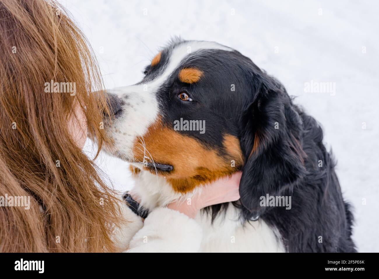 Hug around the neck hi-res stock photography and images - Alamy