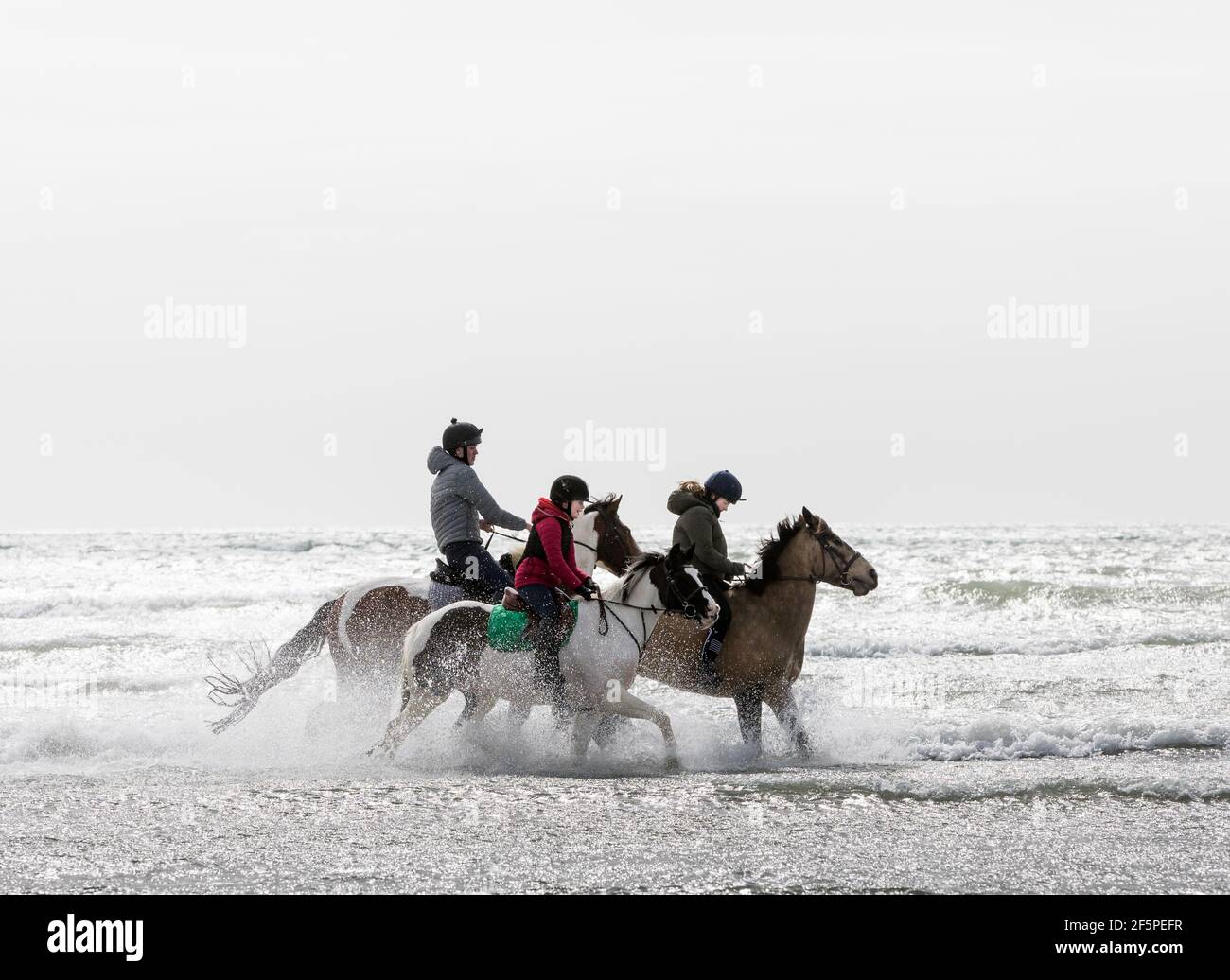 Horse and rider galloping through the sea hi-res stock photography and ...