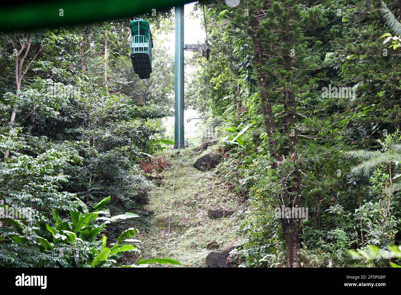 Gondola ride in babonneau rain forest hi-res stock photography and ...
