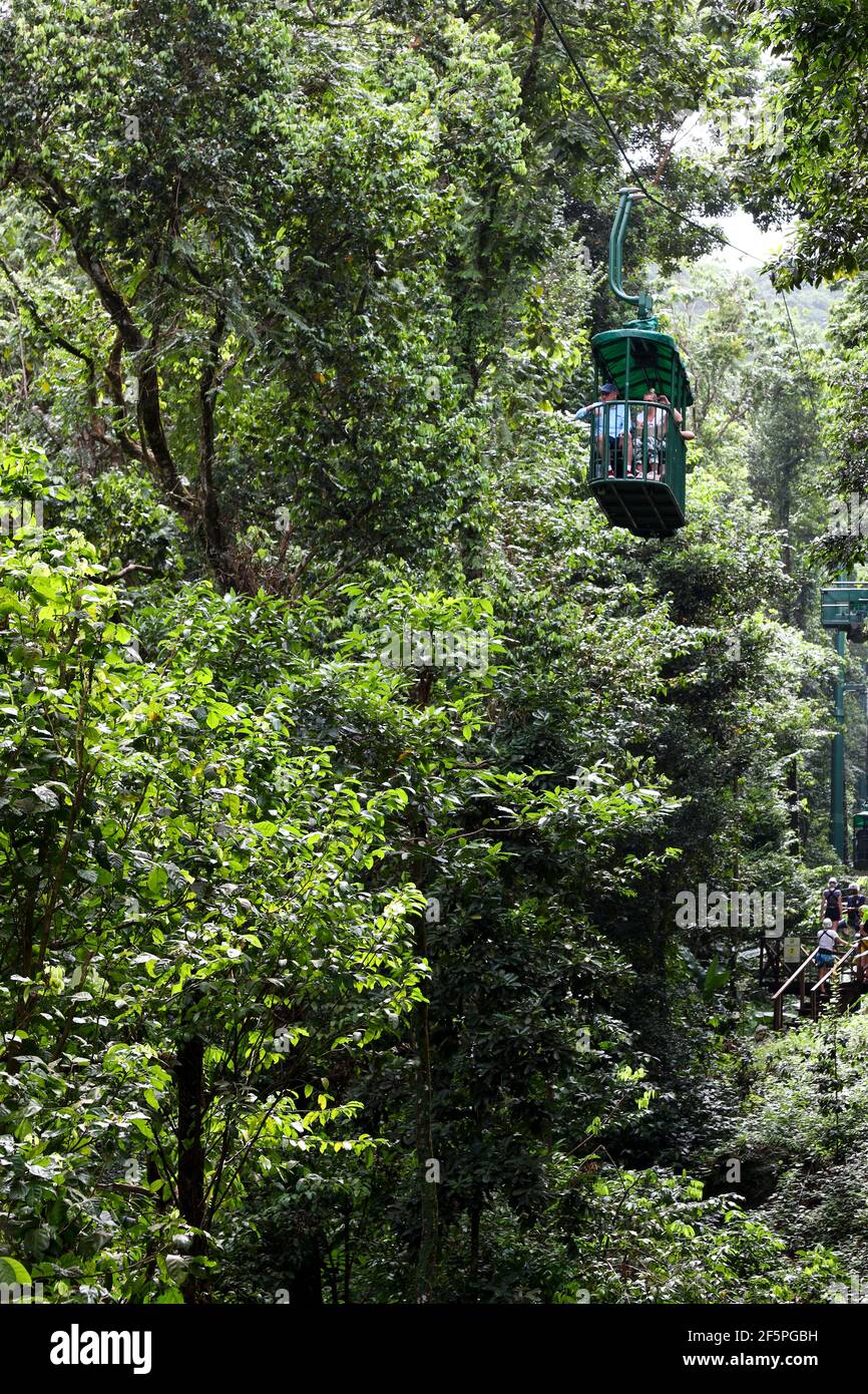 Tree Top Gondola in the tropical rain forests of St. Lucia Island Stock ...
