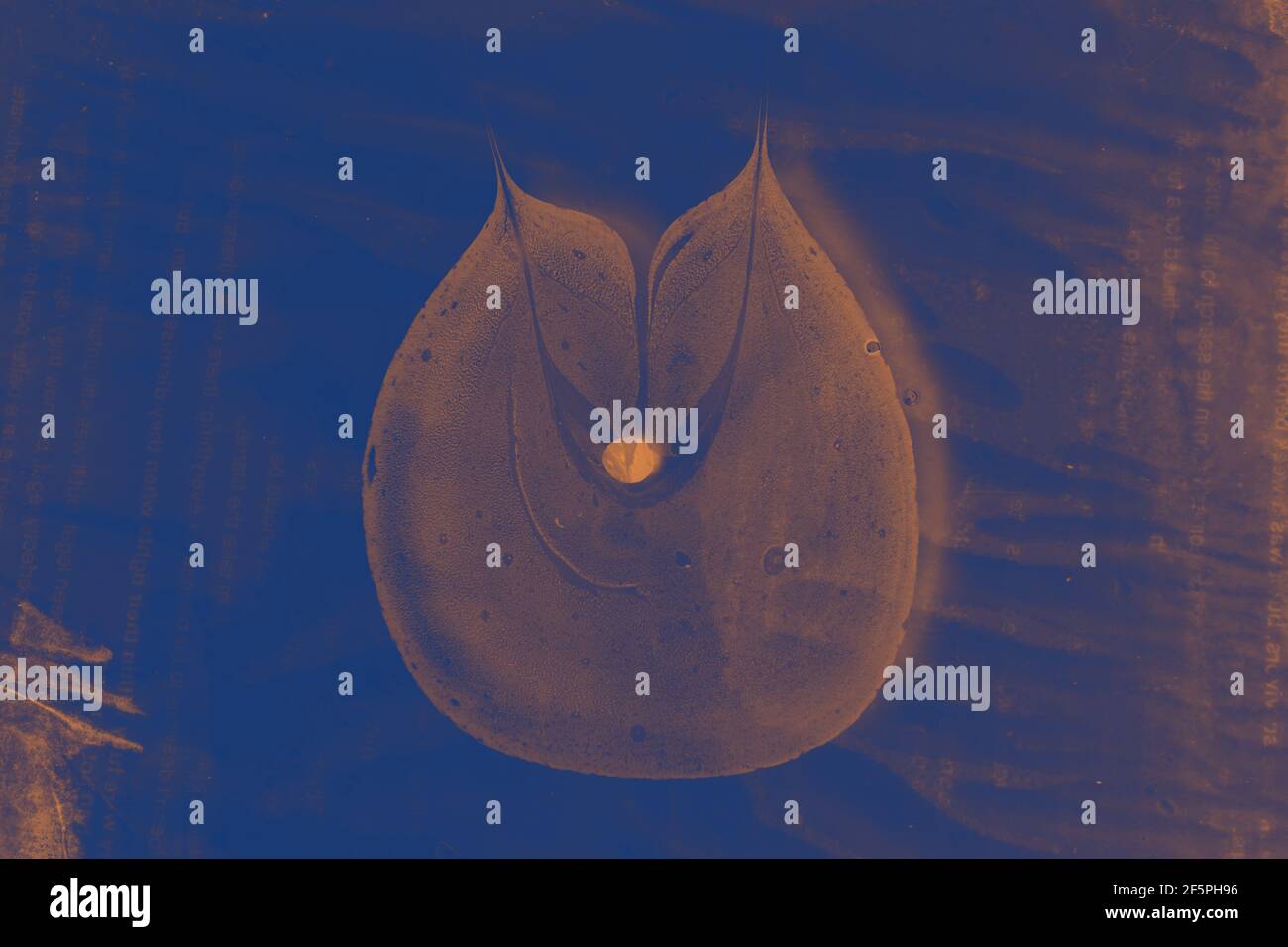 Ebru technique painting in dark tones; traditional Turkish paper ...