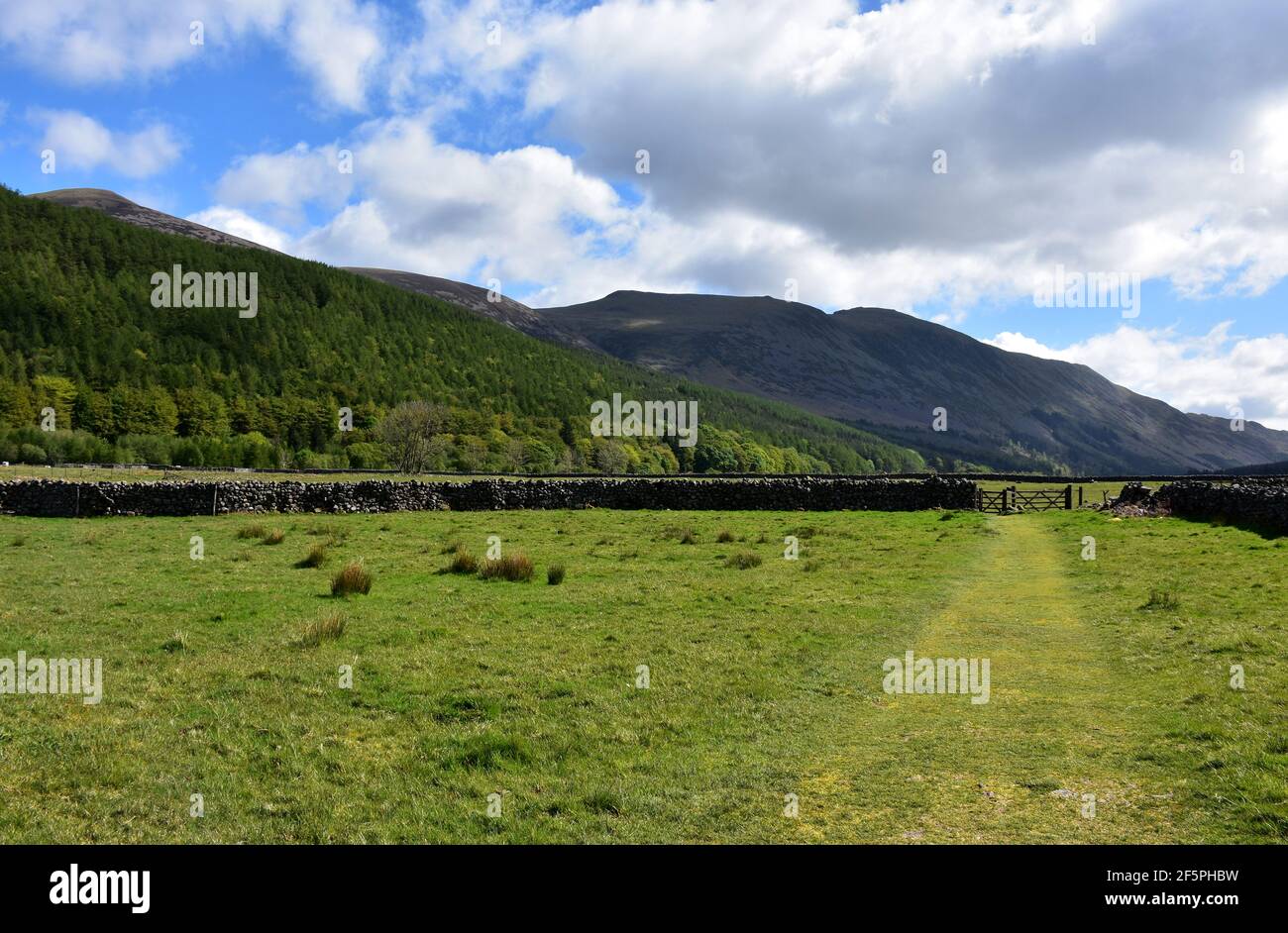 Gated field hi-res stock photography and images - Alamy