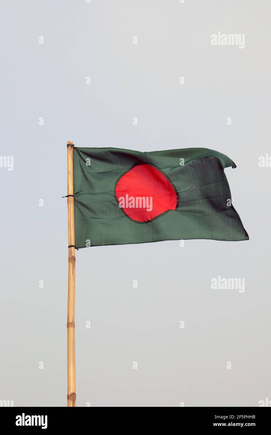 green and red colored bangladeshi flag in the air with bamboo Stock ...