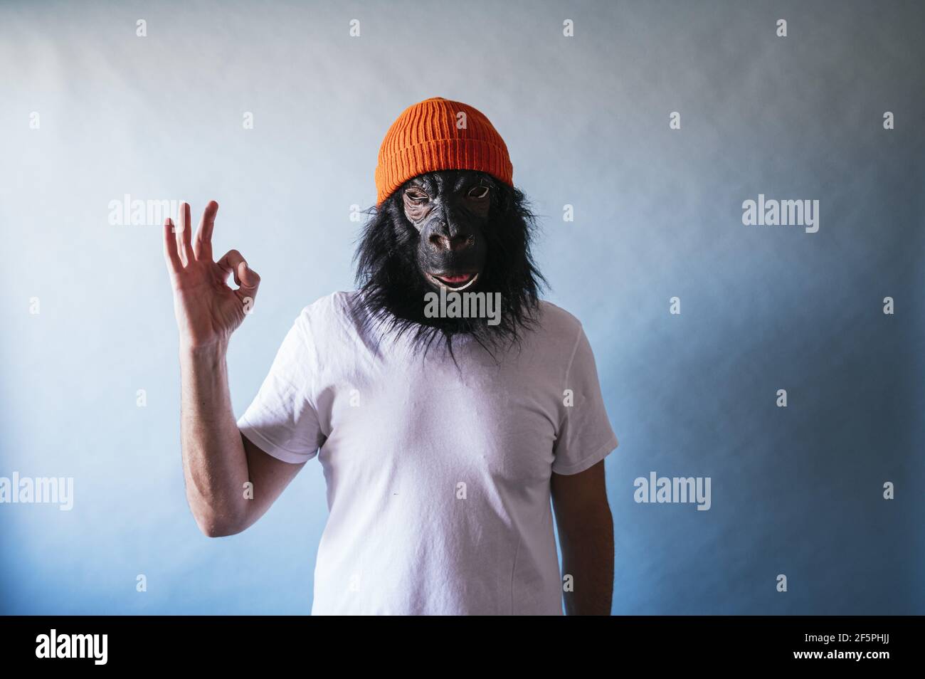 Male in a chimpanzee mask gesturing the OK sign Stock Photo - Alamy