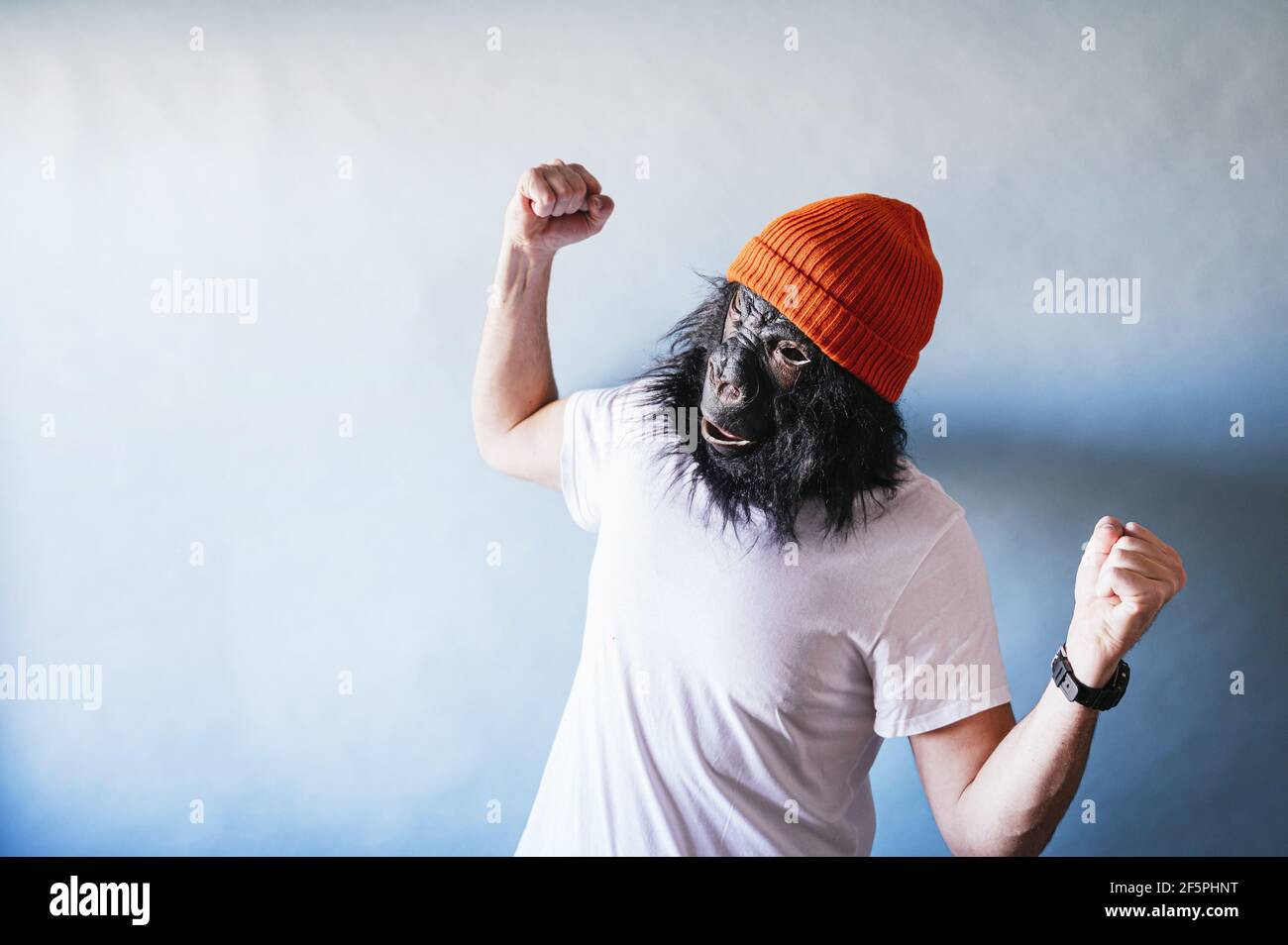 Male in a chimpanzee mask expressing happiness with his fists Stock ...