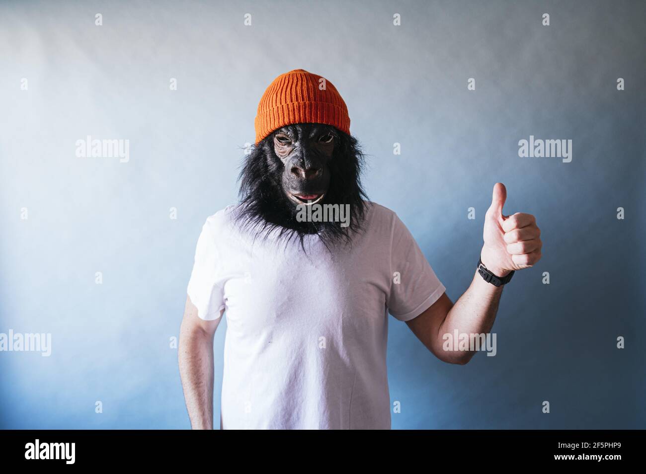Male in a chimpanzee mask gesturing the like sign Stock Photo - Alamy