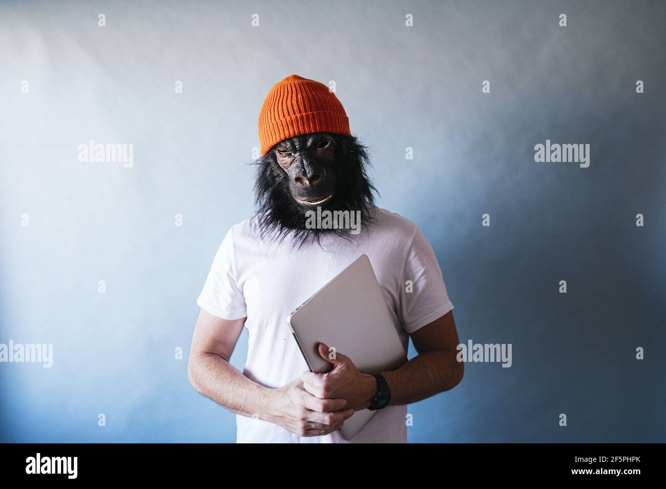 Male in a chimpanzee mask standing holding his laptop Stock Photo - Alamy
