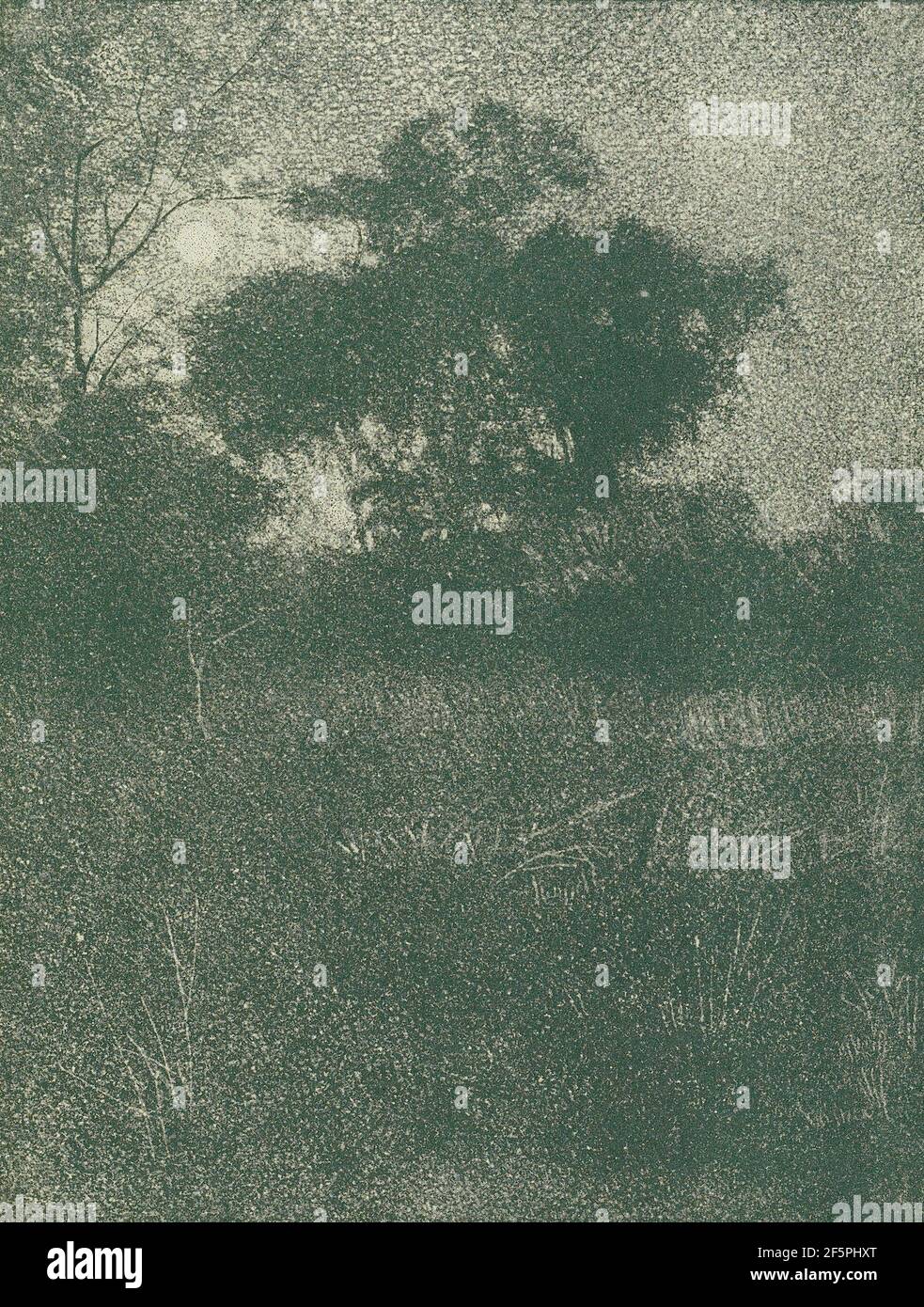 Arthur becher hi-res stock photography and images - Alamy