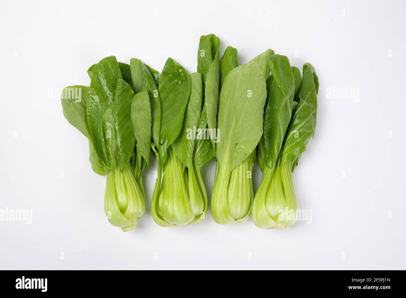 Closeup shot of bok choy cabbage with water drops isolated on white ...