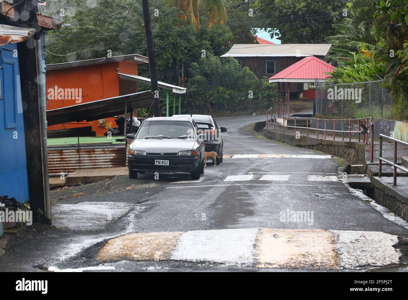Typical village road in St. Lucia leading through hills to the tropical ...