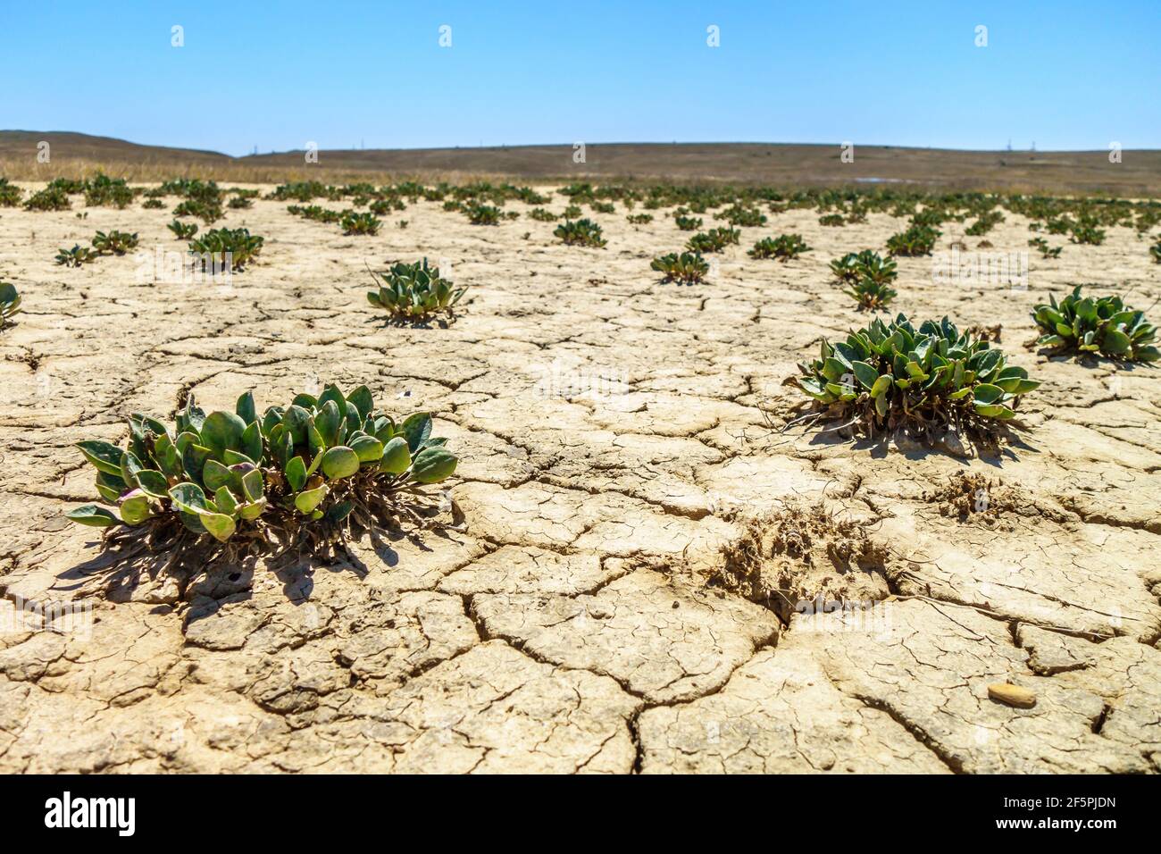 Arid drought conditions hi-res stock photography and images - Alamy