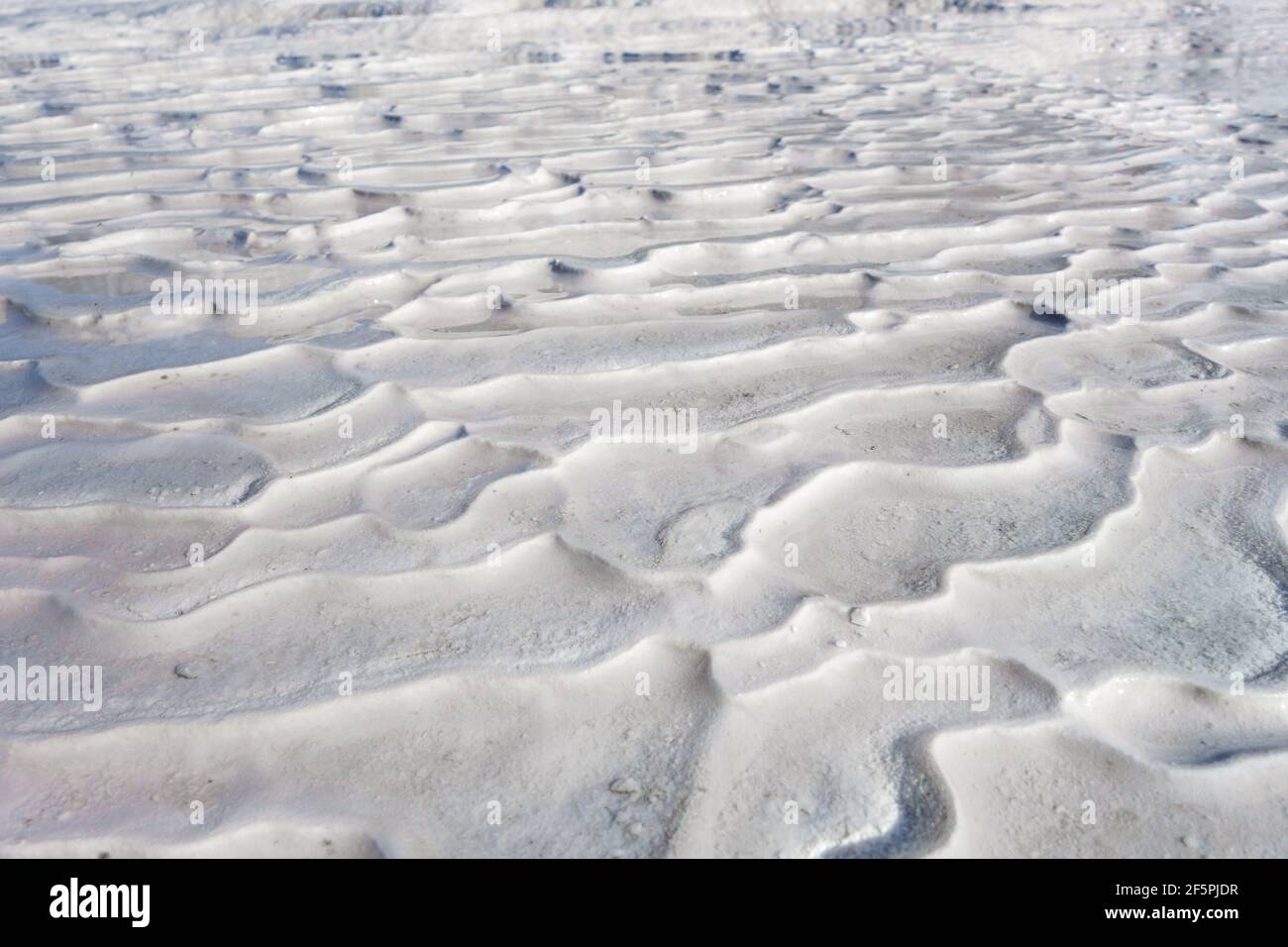 Ribbed edges hi-res stock photography and images - Alamy