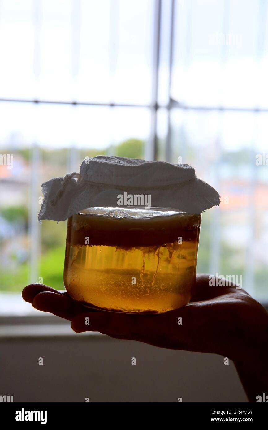 Baby scoby hi-res stock photography and images - Alamy