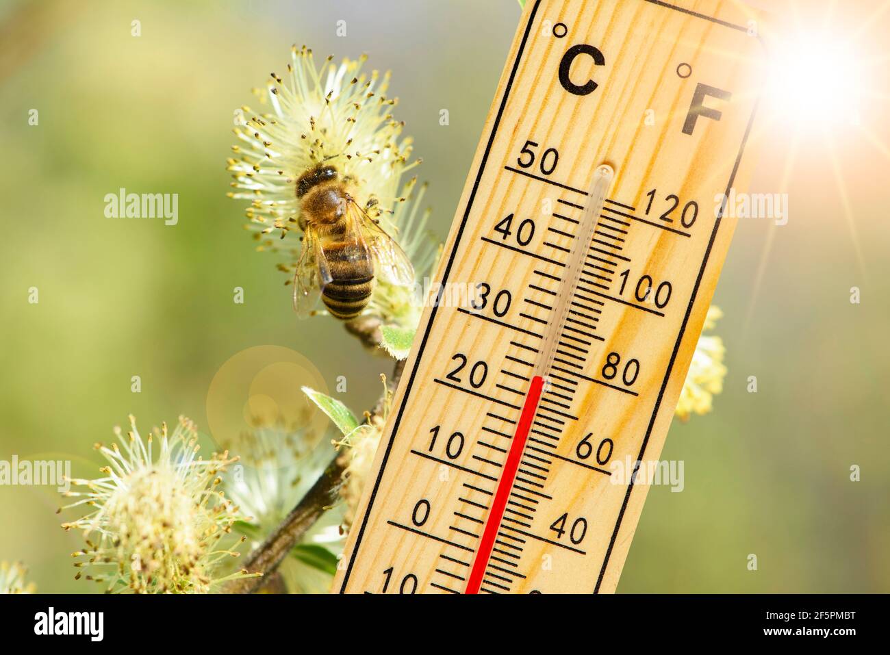warm temperature at spring with fine weather and sun Stock Photo - Alamy
