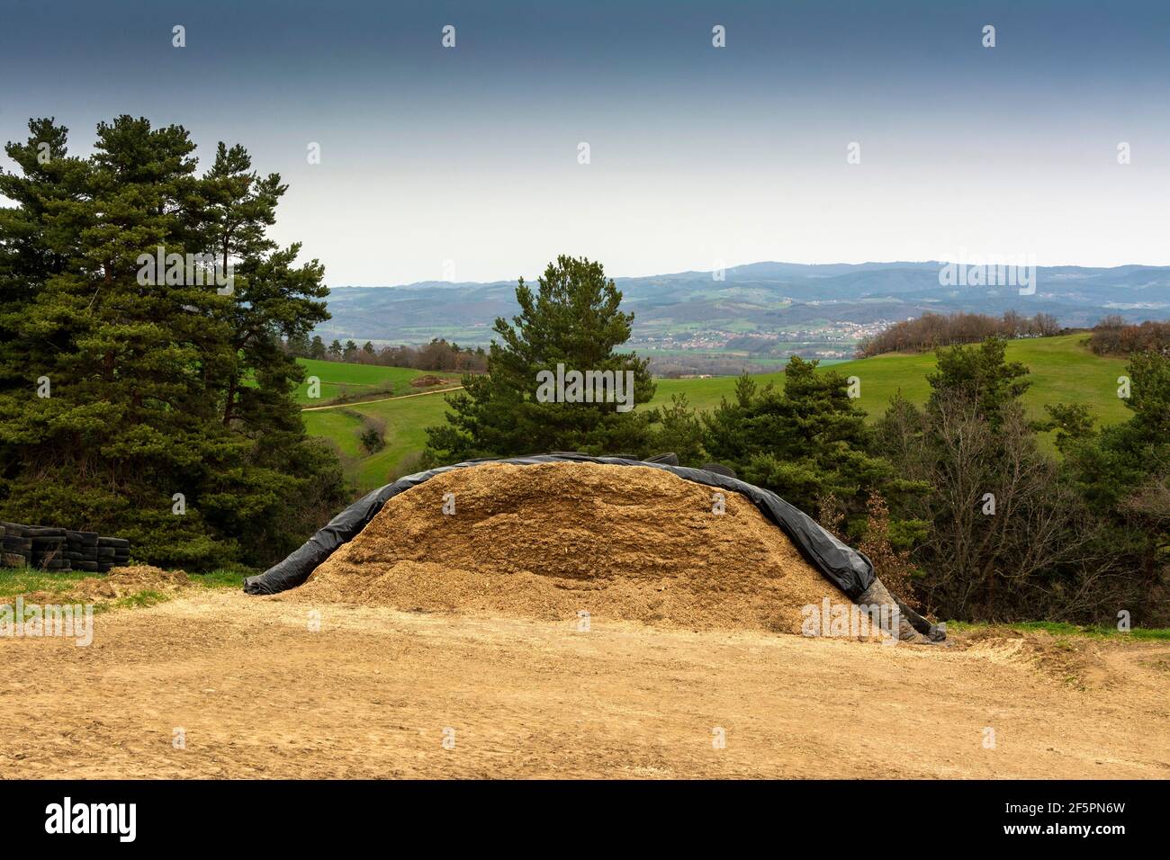 Plastic tube hi-res stock photography and images - Alamy