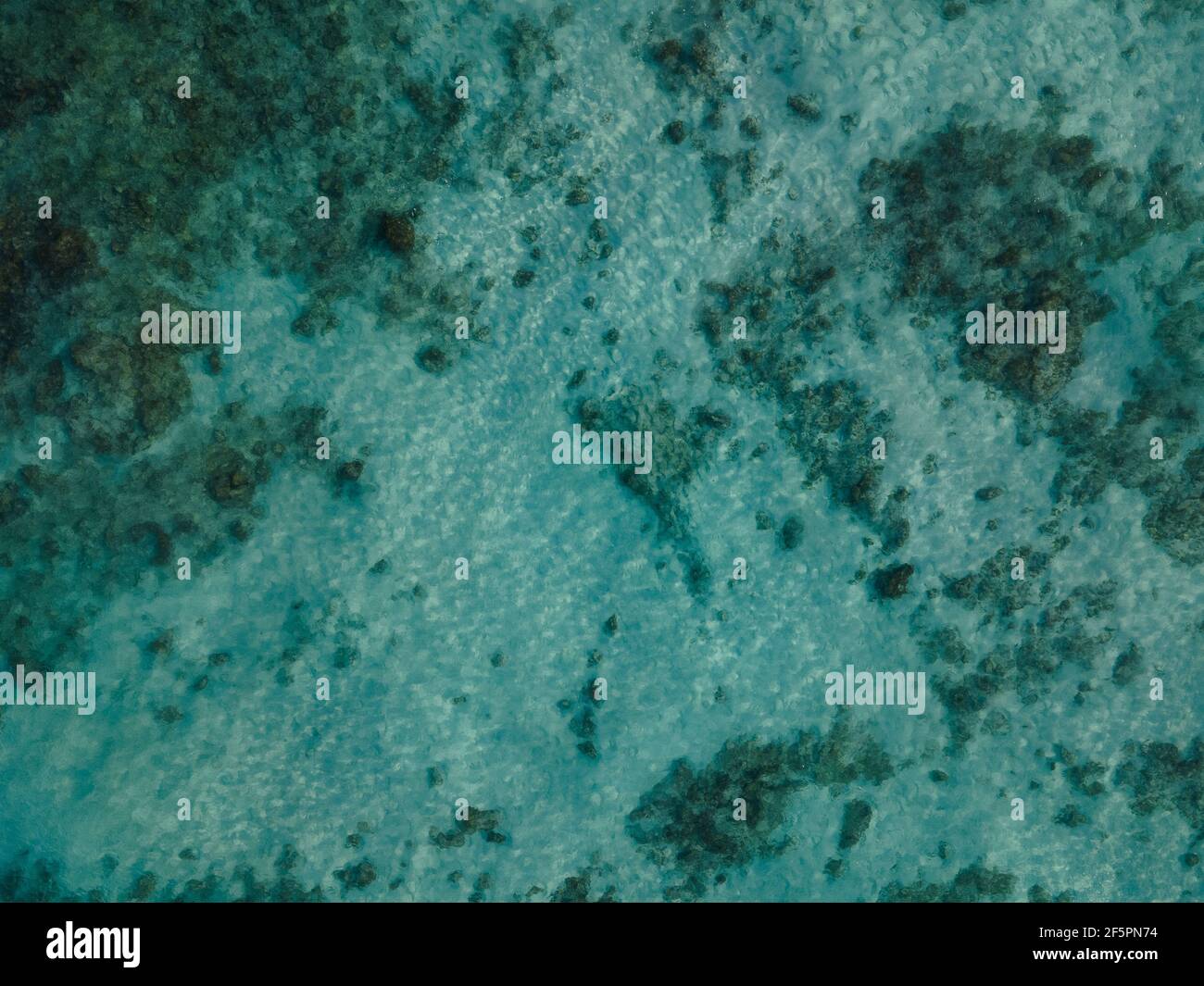 Cristal green ocean surface background with reef at the bottom aerial ...