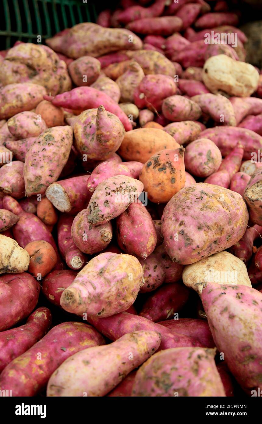 salvador, bahia / brazil - july 10, 2020: sweet potatoes are seen for ...