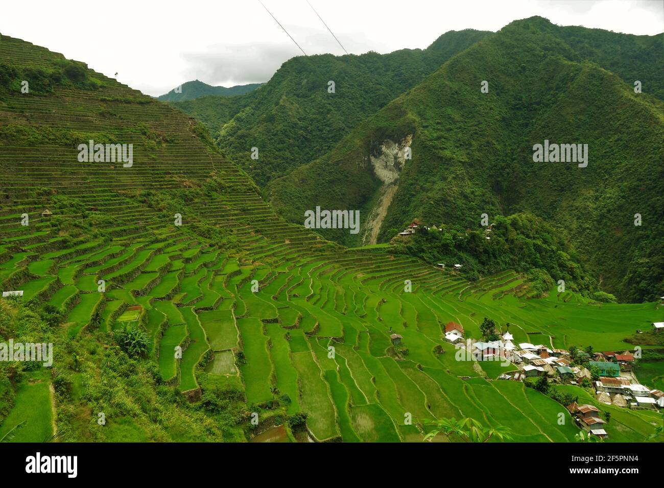 Philippines rice terraces f northern Luzon Stock Photo - Alamy