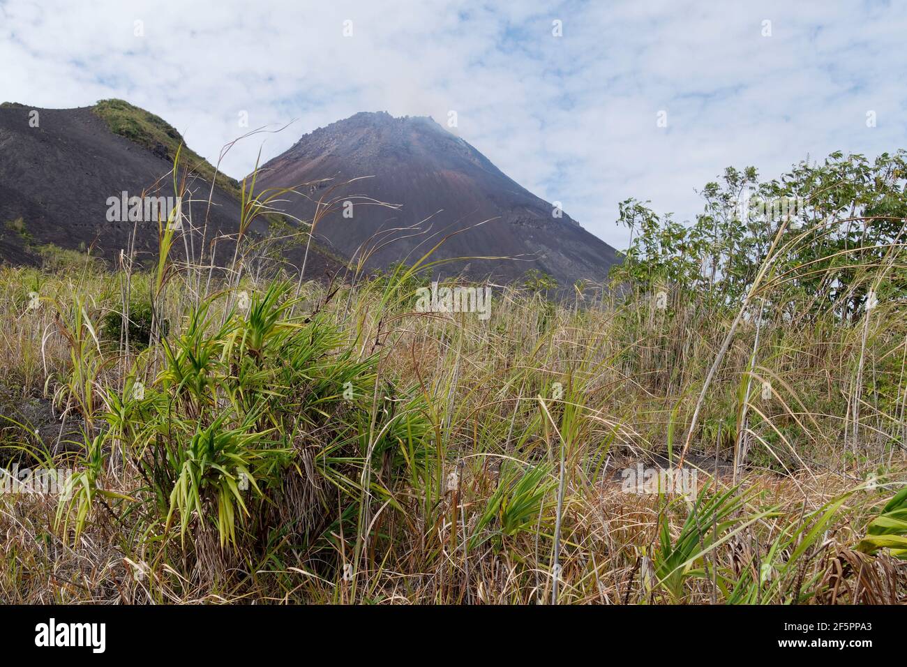 Soputan volcano (Sulawesi Island, Indonesia Stock Photo - Alamy